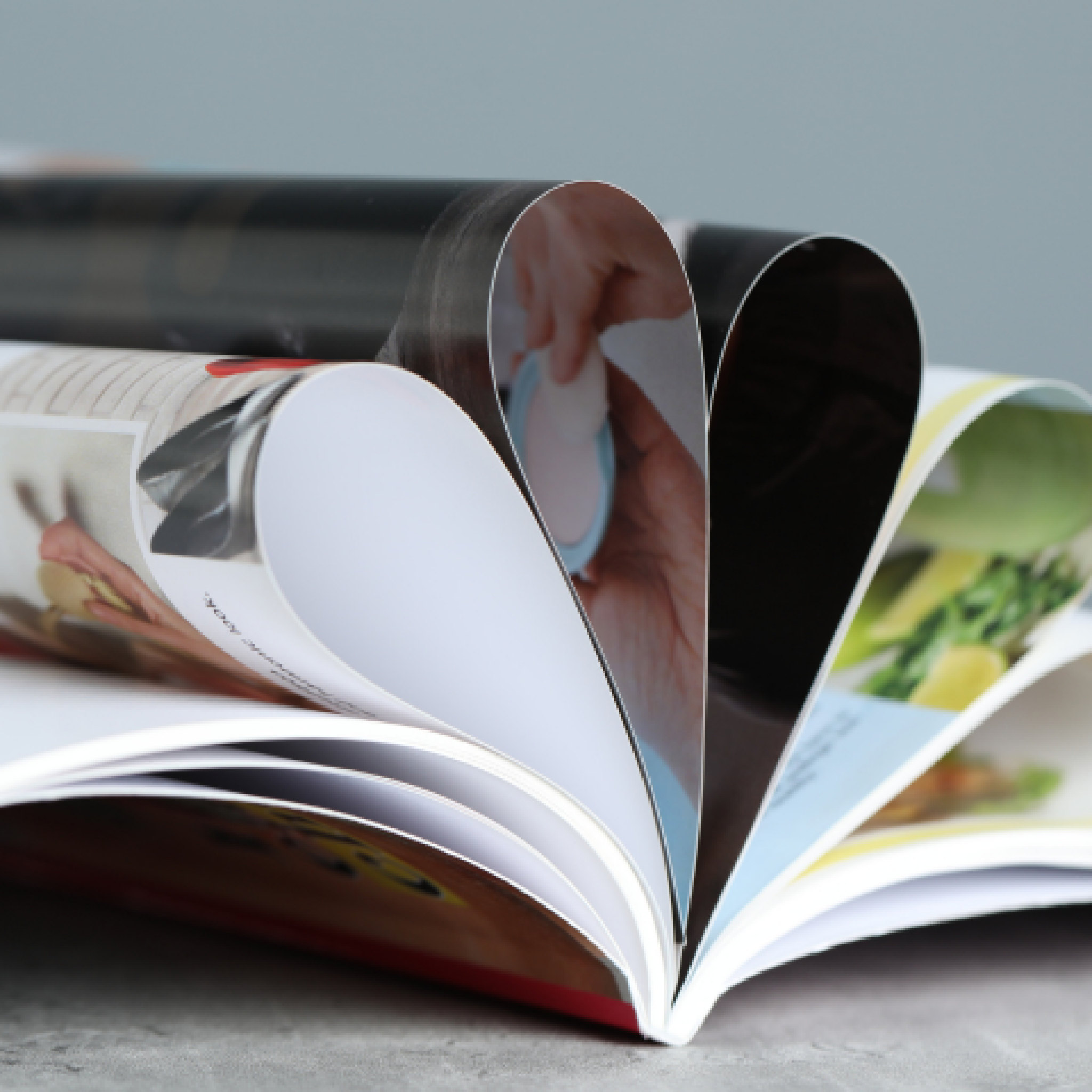 Color Expectations Guide - Color House Graphics, Inc.